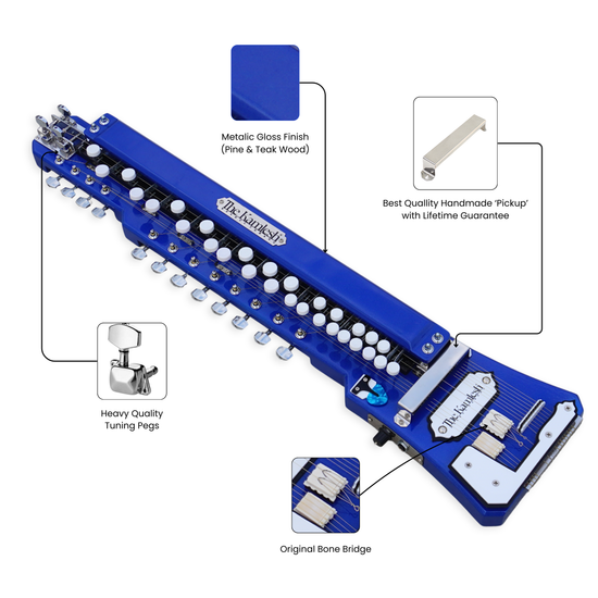 THE KAMLESH® | Bulbul Tarang (Indian Banjo) | Made in India 🇮🇳 – The ...