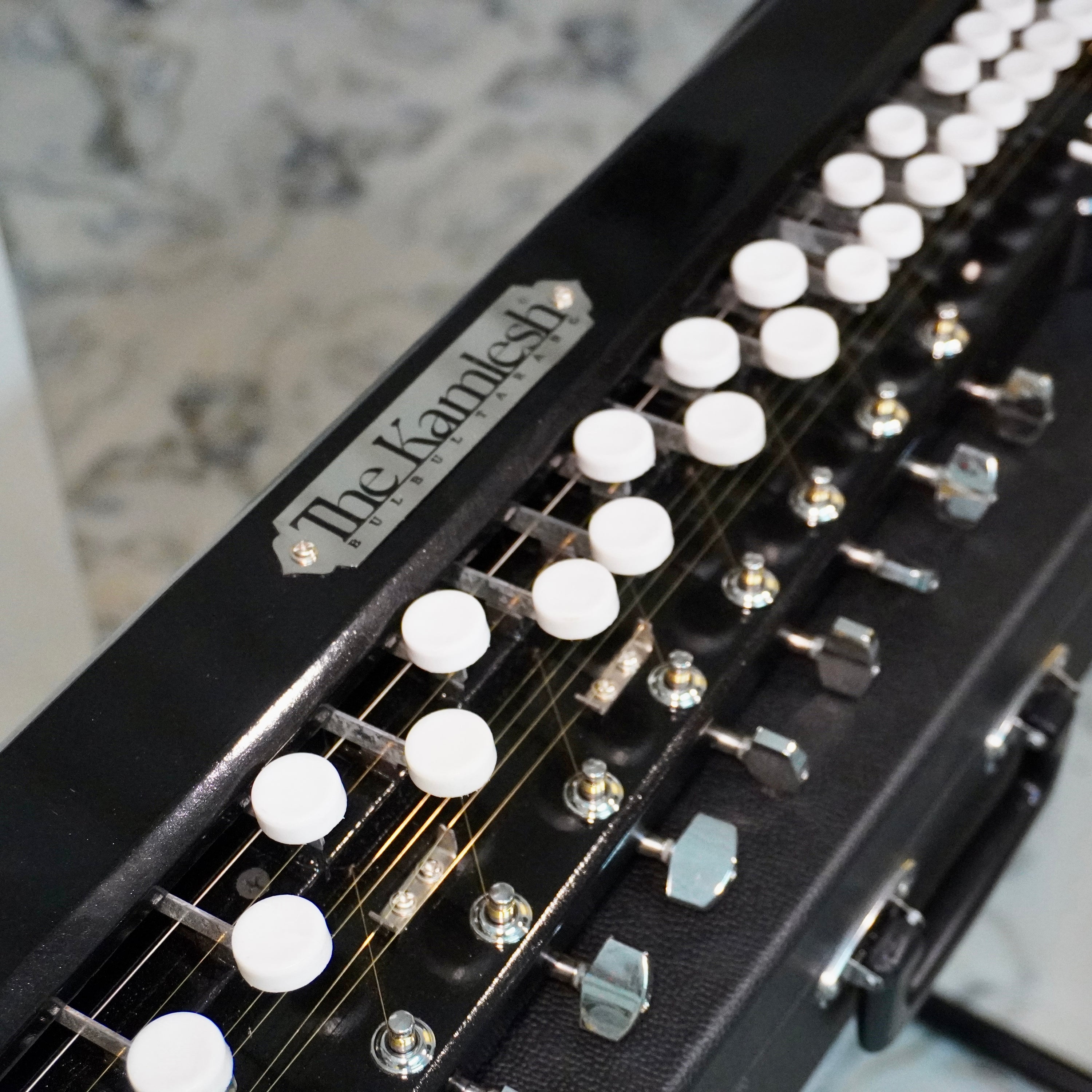 THE KAMLESH® | Bulbul Tarang (Indian Banjo) | Made in India 🇮🇳 – The ...