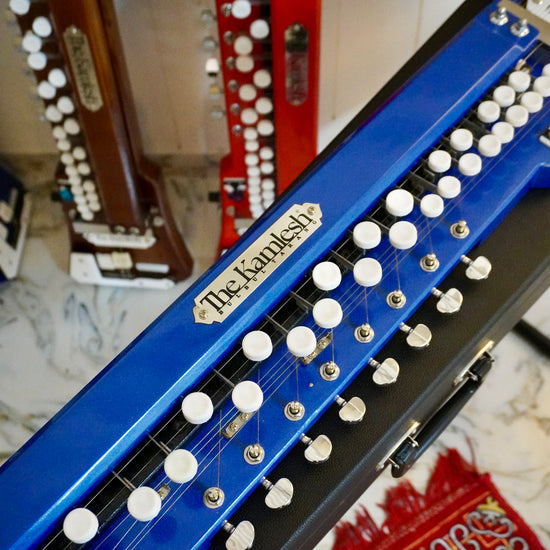 THE KAMLESH® | Bulbul Tarang (Indian Banjo) | Made in India 🇮🇳 – The ...