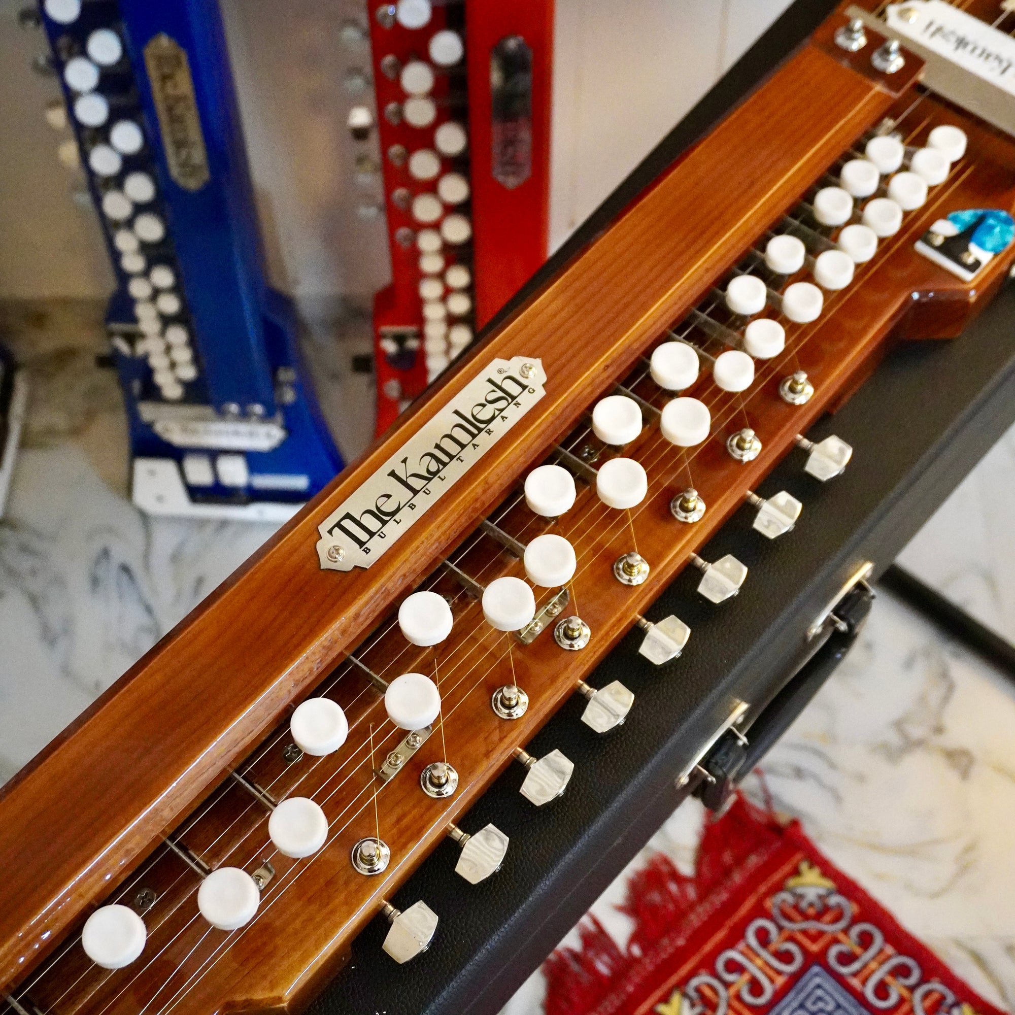 THE KAMLESH® | Bulbul Tarang (Indian Banjo) | Made in India 🇮🇳 – The ...